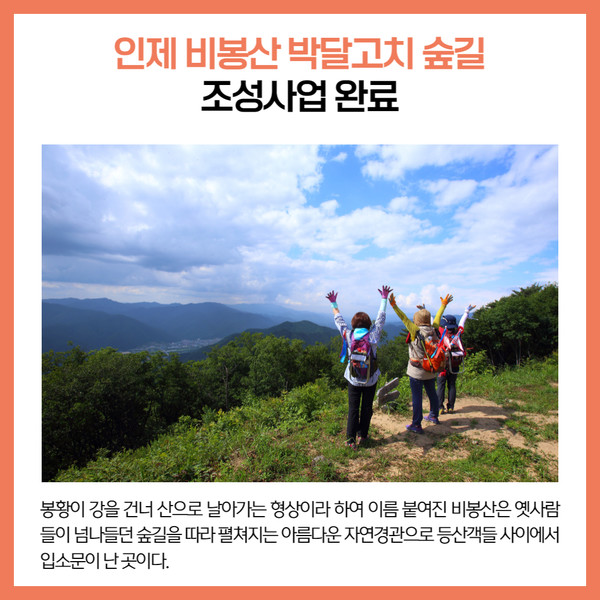 [카드뉴스] 강원 인제군 주요뉴스 (11월 1일)