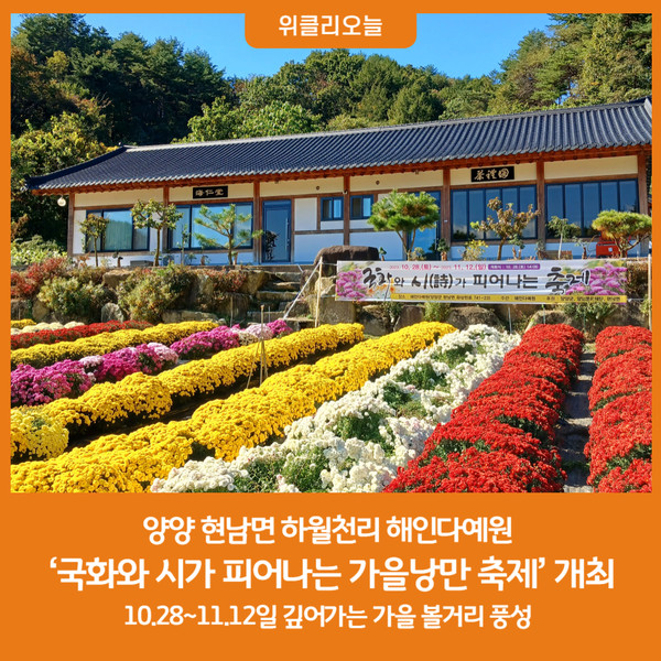 양양 해인다예원, ‘제7회 국화와 시가 피어나는 가을낭만 축제’ 28일 개막